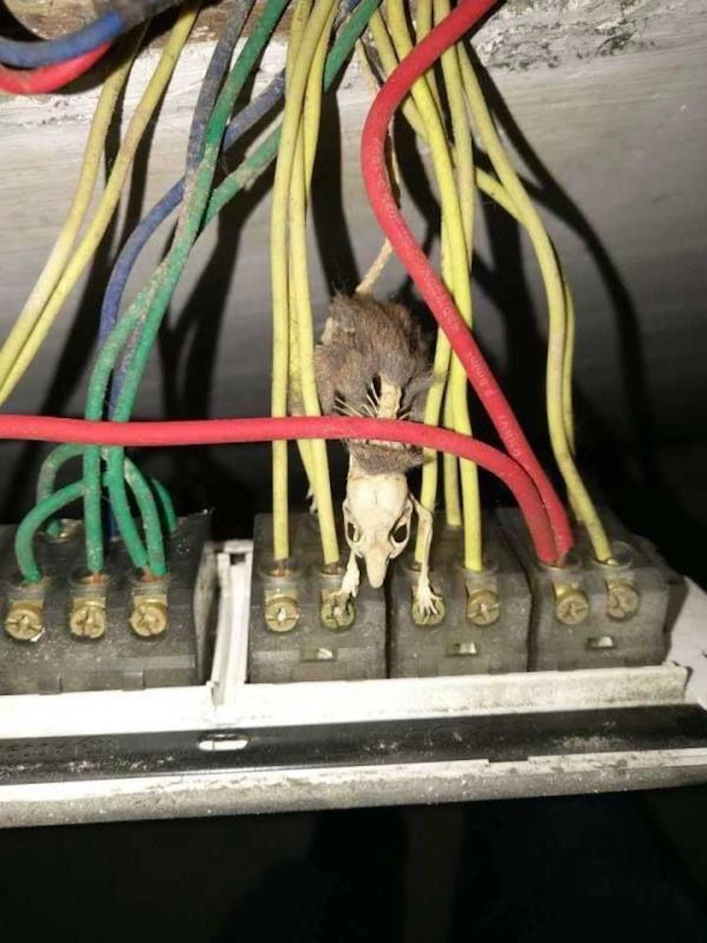 Dirty rotten cable fails: Photos | Cabling Installation & Maintenance