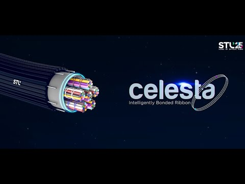 Vexus Fiber plans $200M broadband network build in Texas' Rio Grande ...