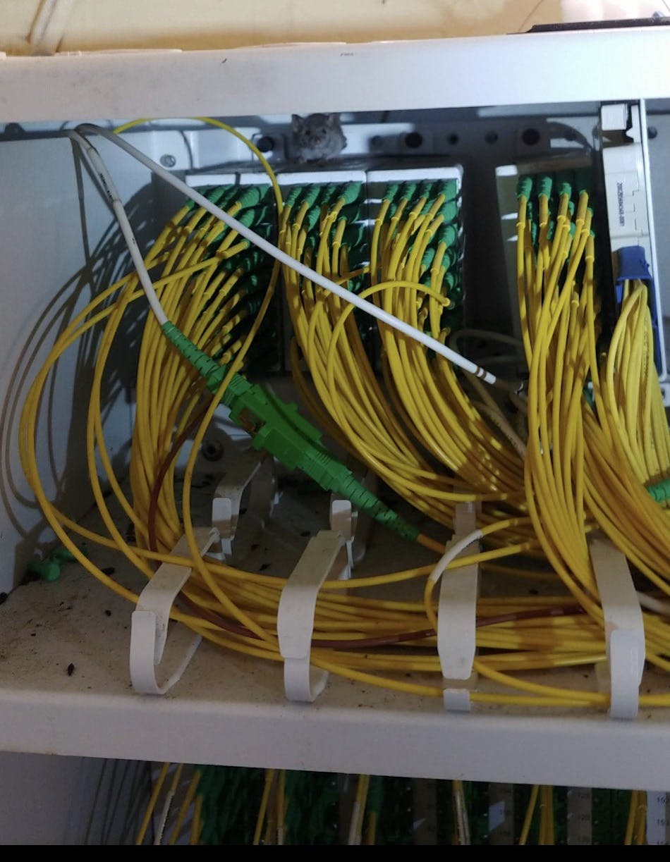 Spaghetti rooms: Cabling photos | Cabling Installation & Maintenance